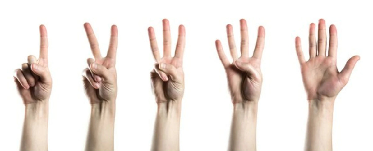 Finger Exercises for Dislocated Fingers: Mastering Recovery and Restor ...